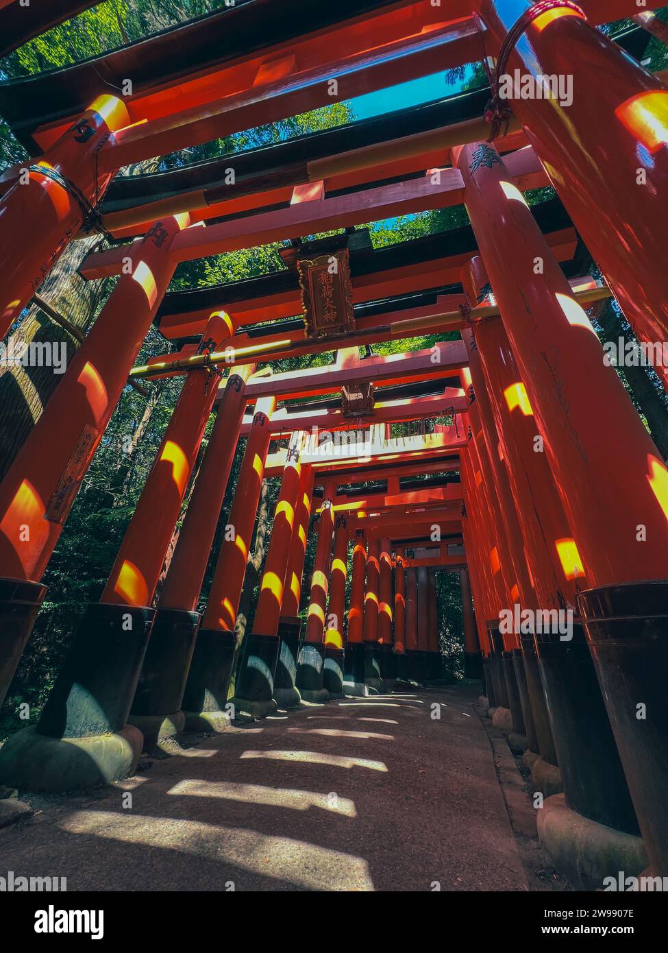 A beautiful tunnel made of torii gates. Kyoto, Japan Stock Photo - Alamy