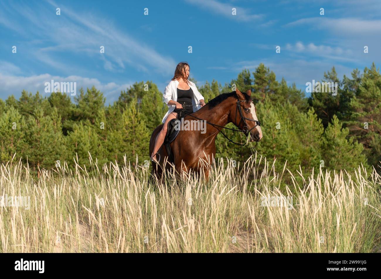 Cantering horse hi-res stock photography and images - Alamy