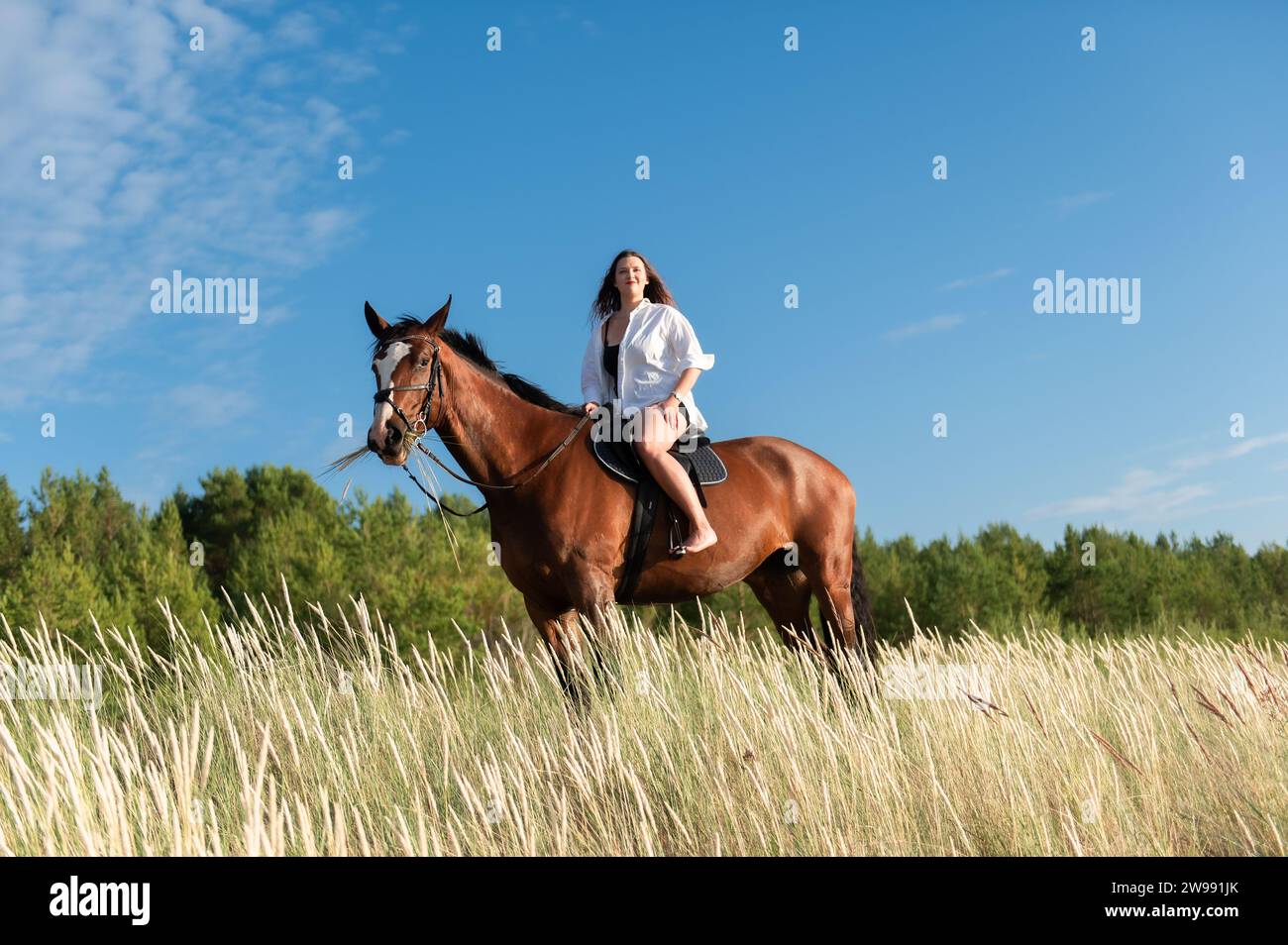 A young female rider atop a beautiful horse, cantering through a meadow ...