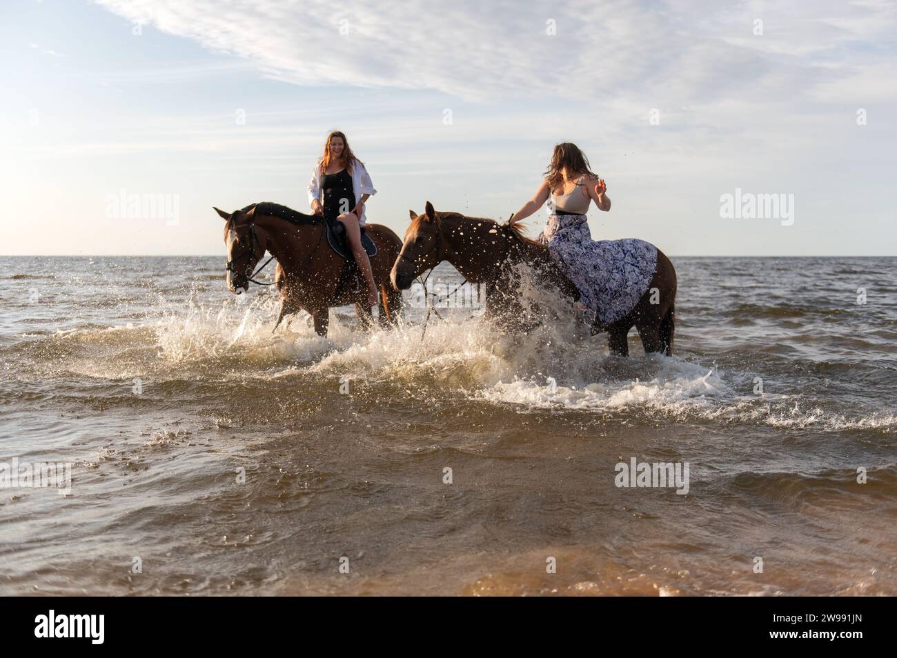 Two female riders galloping on horseback through the shallow waters of ...
