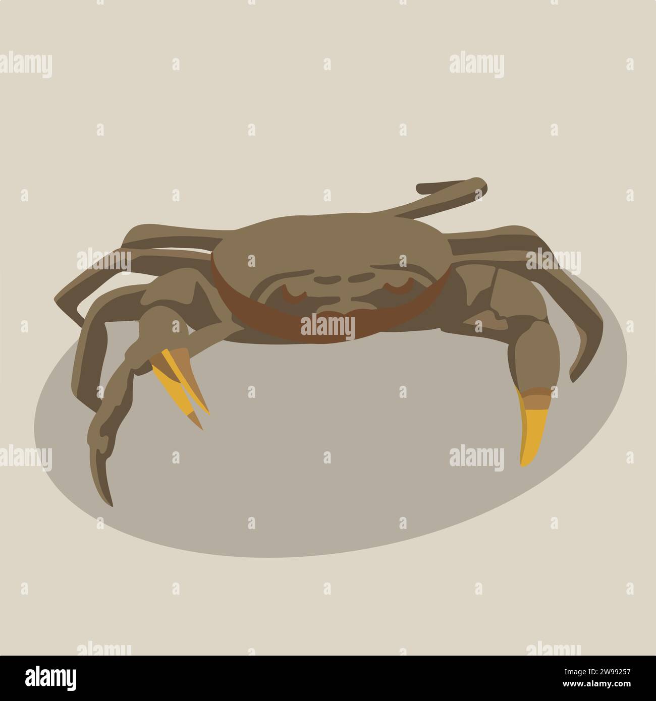 Vector isolated illustration of a crab Stock Vector Image & Art - Alamy