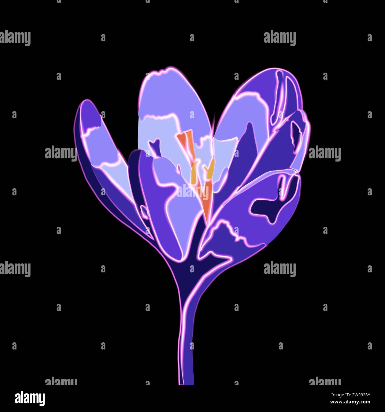 Vector isolated crocus illustration with neon effect Stock Vector Image ...