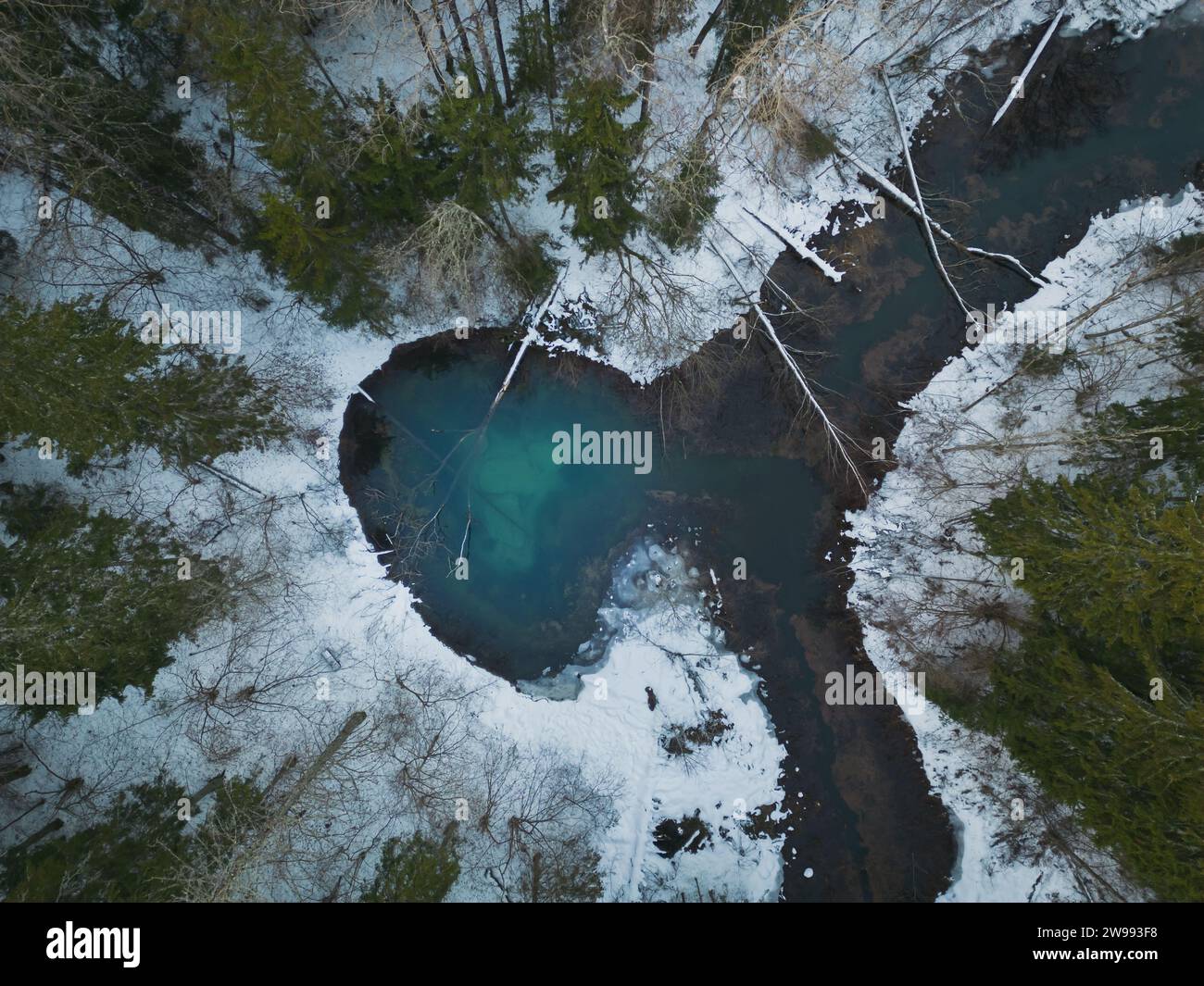 Nature of Estonia in winter. Local landmark Siniallikad in the forest ...