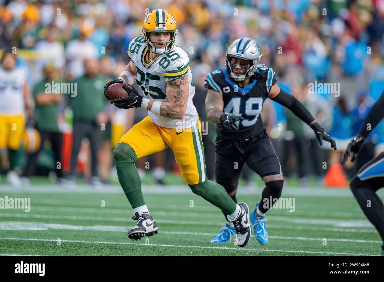 Carolina Panthers linebacker Frankie Luvu (49) pursues Green Bay ...