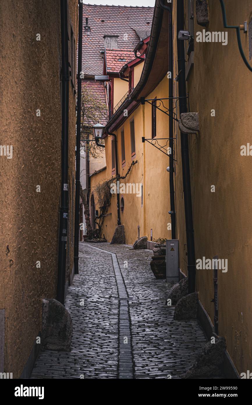 A scenic view of a narrow cobblestone pathway framed by two ancient ...