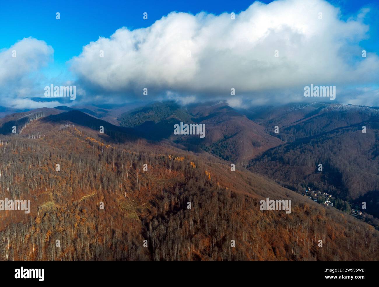 An aerial view of a stunning autumn landscape featuring rolling ...
