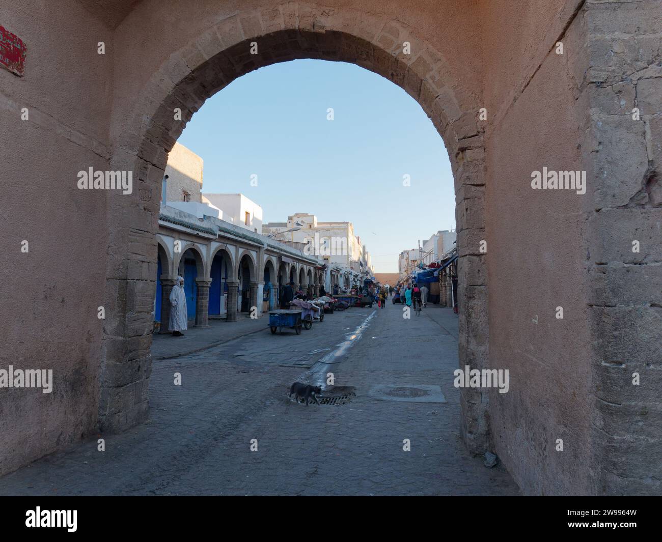 Main medina street with gutter in the centre as a cat walks by and a ...