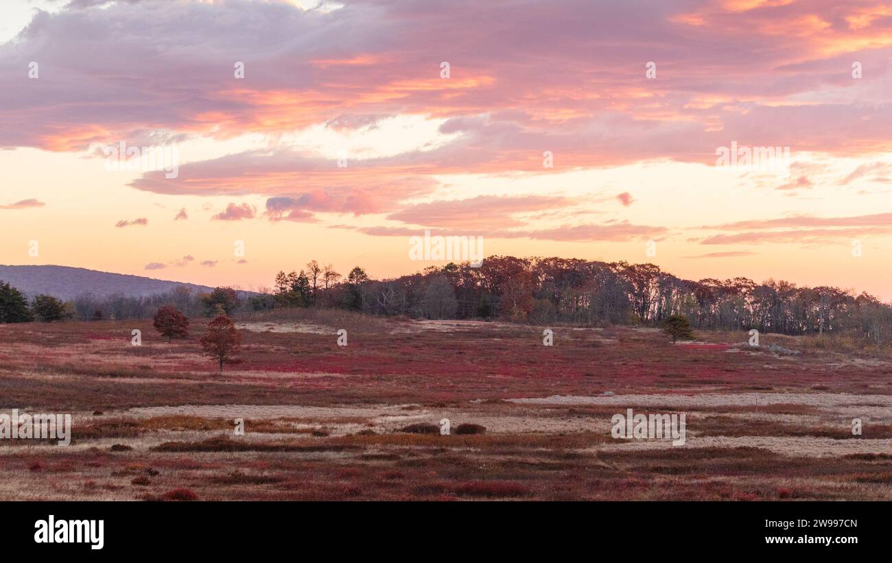 Fall colors at Big Meadows in Shenandoah National Park Stock Photo - Alamy