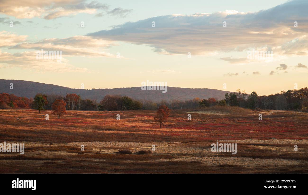 Fall colors at Big Meadows in Shenandoah National Park Stock Photo - Alamy