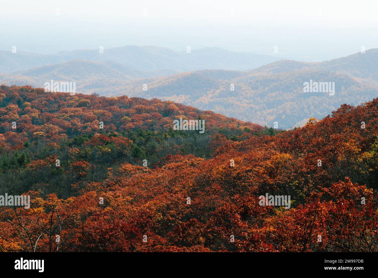 Colorful sunrise behind rolling mountains with red and orange fall ...