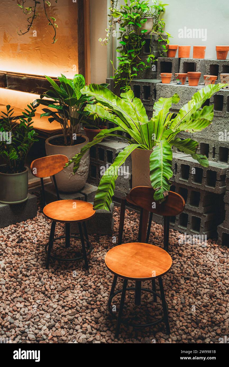 A vertical shot of a cafe interior with stools, potted plants, and ...