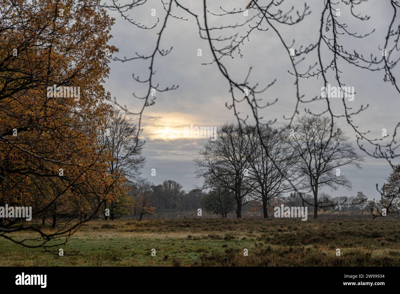 A scenic outdoor landscape with a wide panoramic view of a grassy field ...