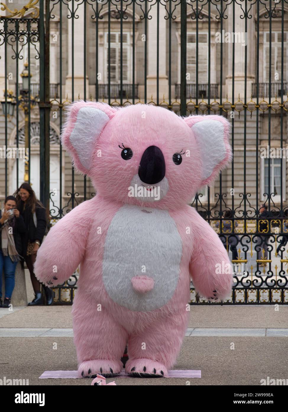 A giant inflatable koala costume adult in Madrid, against the Royal ...