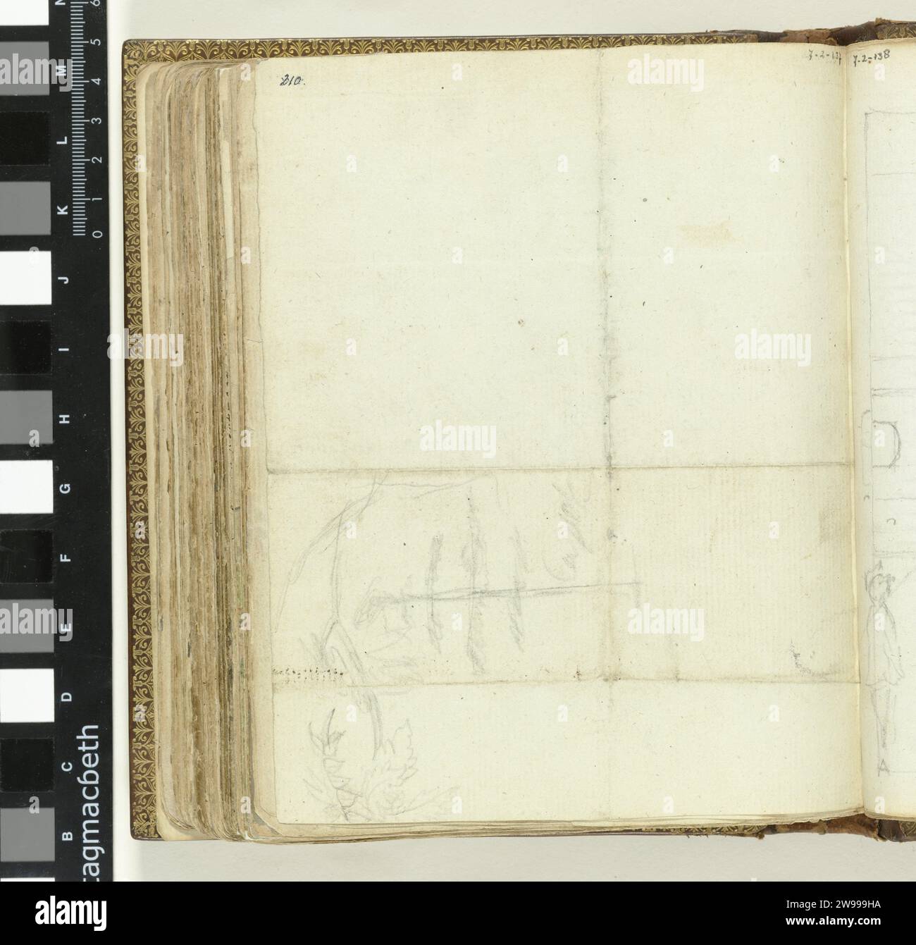 Kapok, Jan Brandes, 1770 - 1808 drawing Pencil sketch of a plant with ...