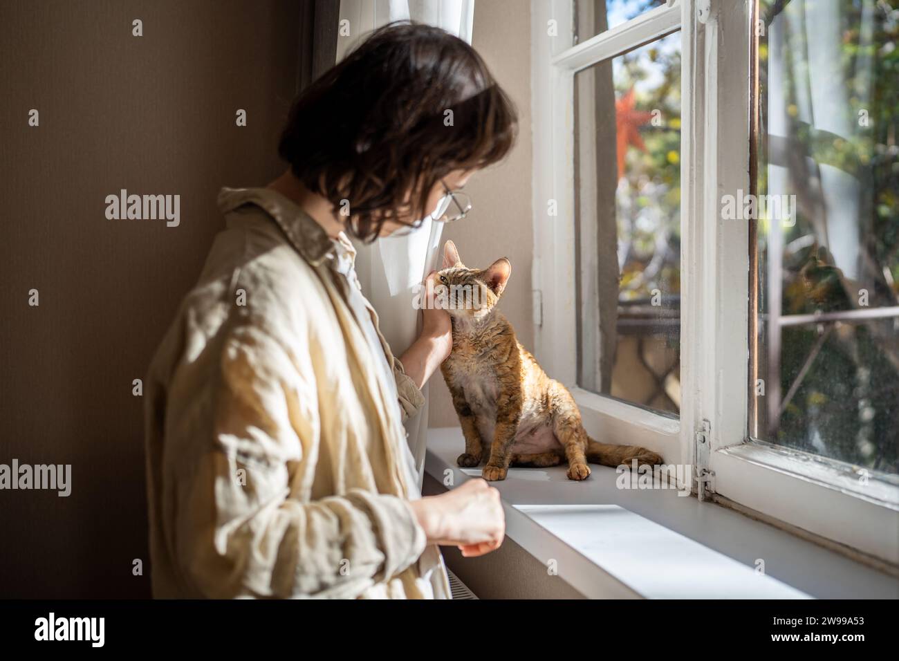 Pet lover caressing, stroking purring of pleasure beloved cat Devon Rex ...