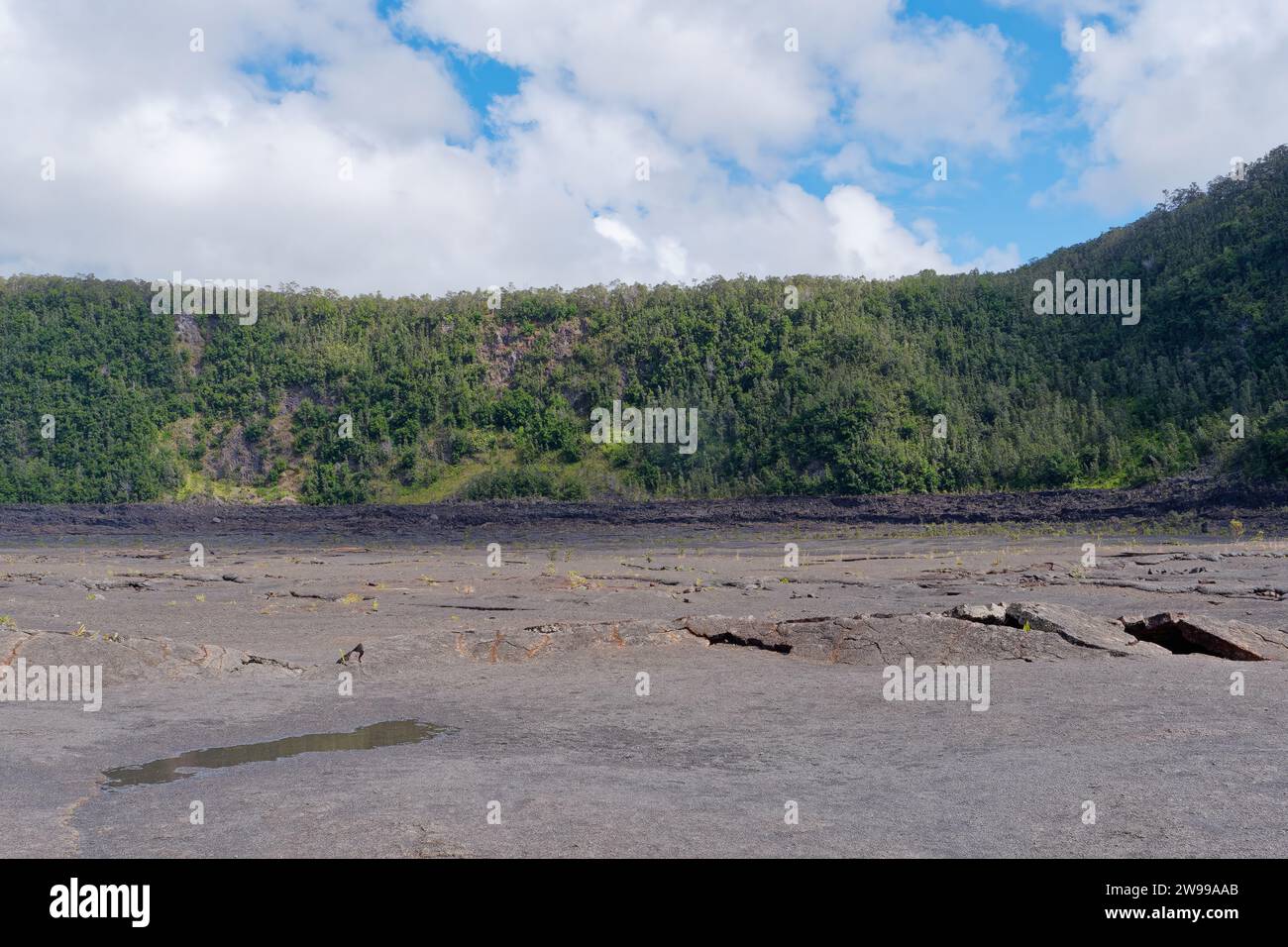 The view of a volcano crater hike in Volcanoes National Park on the Big ...