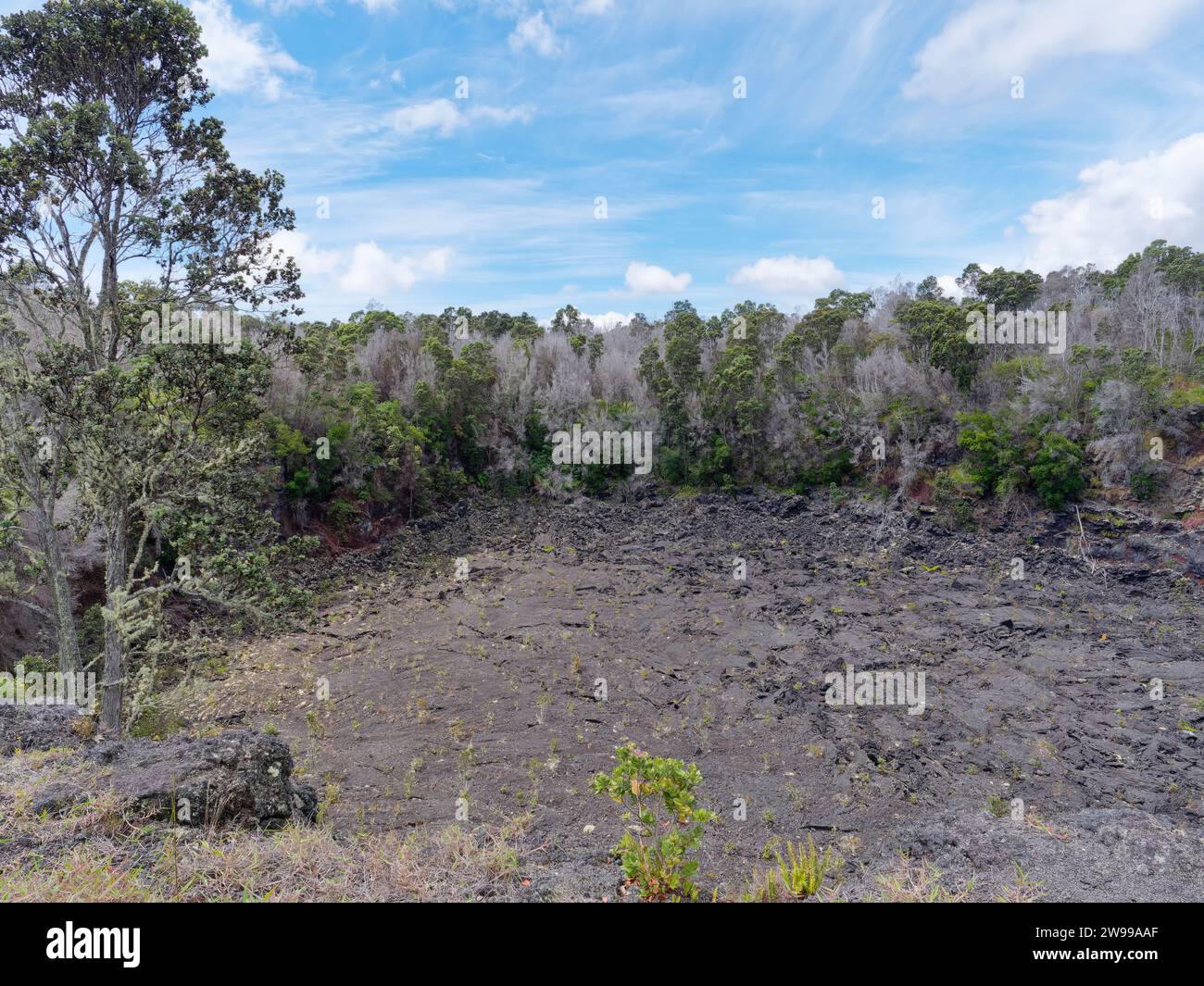 The view of a volcano crater hike in Volcanoes National Park on the Big ...