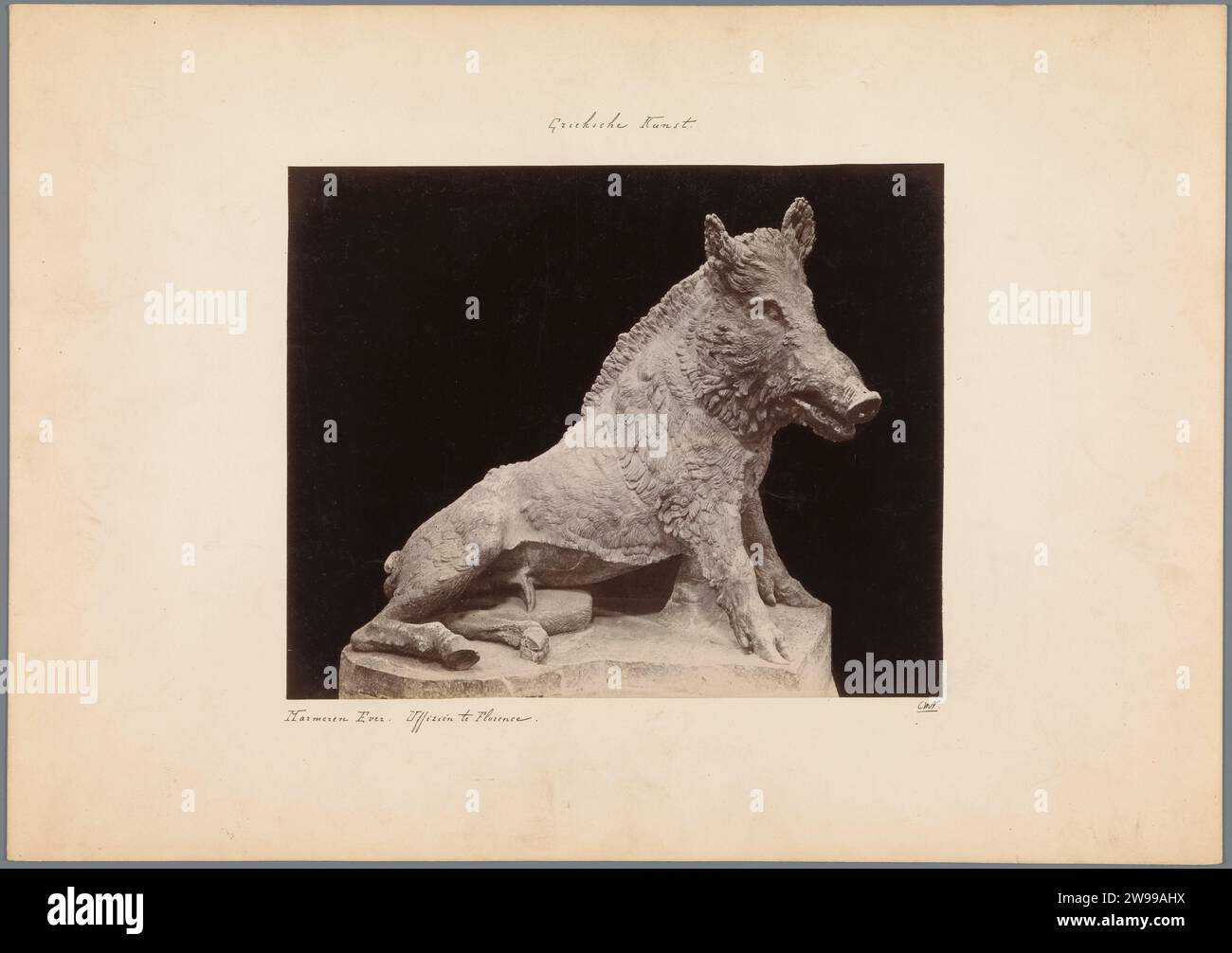 Image of a wild boar in the Galleria degli Uffizi in Florence, c. 1875 ...