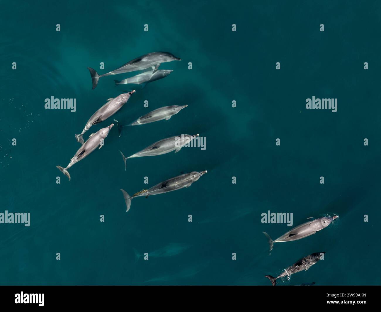 Ocean setting hi-res stock photography and images - Alamy