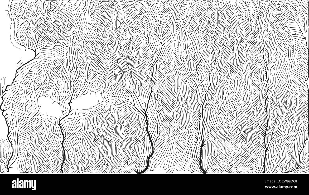 Branching growth pattern Stock Vector Images - Alamy