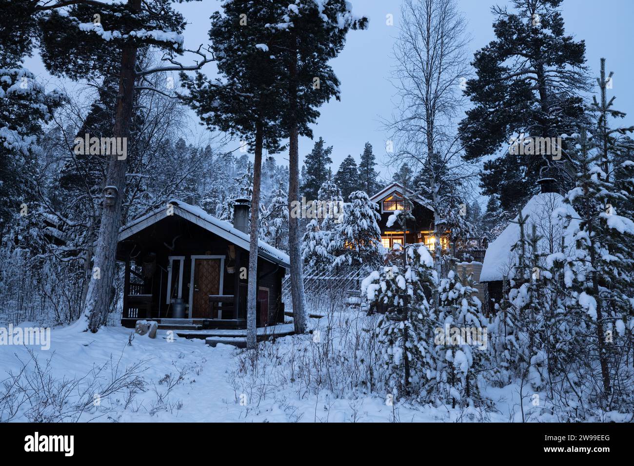 An ethereal nighttime scene of a cozy house nestled in the middle of a ...