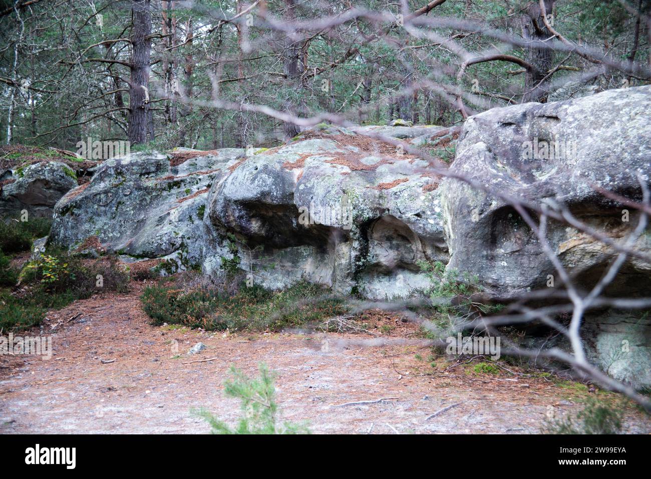 A scenic nature landscape with stunning rocks and trees in ...