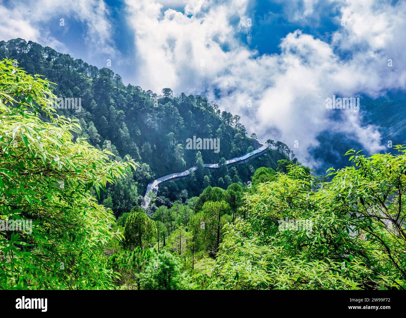 A scenic path winds through a lush forest on the hillside. Trikuta ...