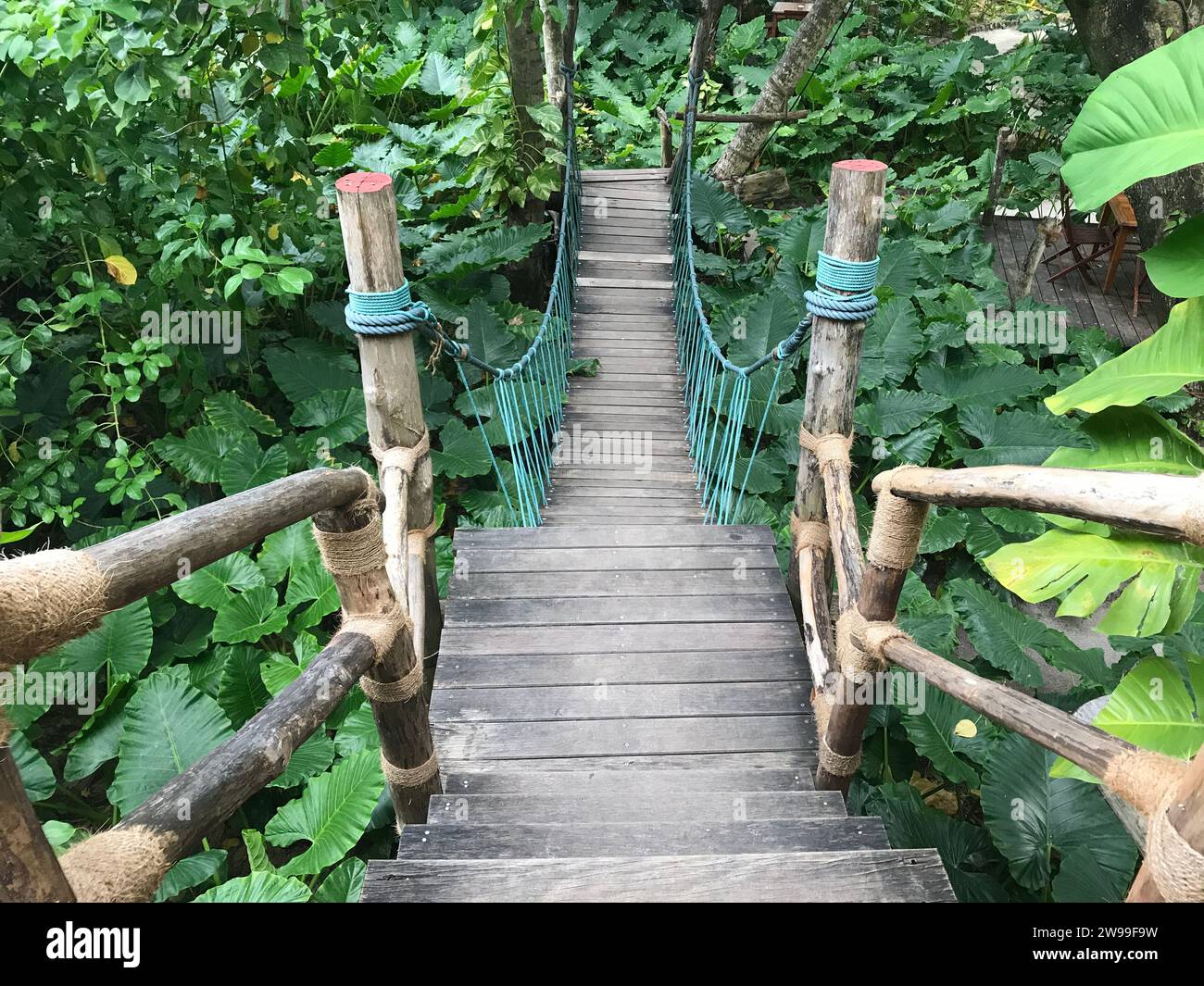 A wooden bridge in a lush green tropical jungle. Maldives Stock Photo ...