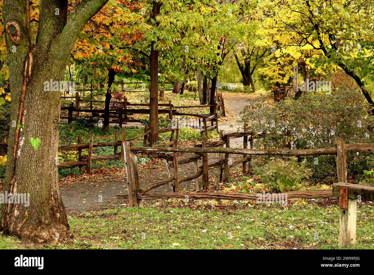 A scenic park setting featuring a white picket fence and an open fire ... A scenic park setting featuring a white picket fence and an open fire ...