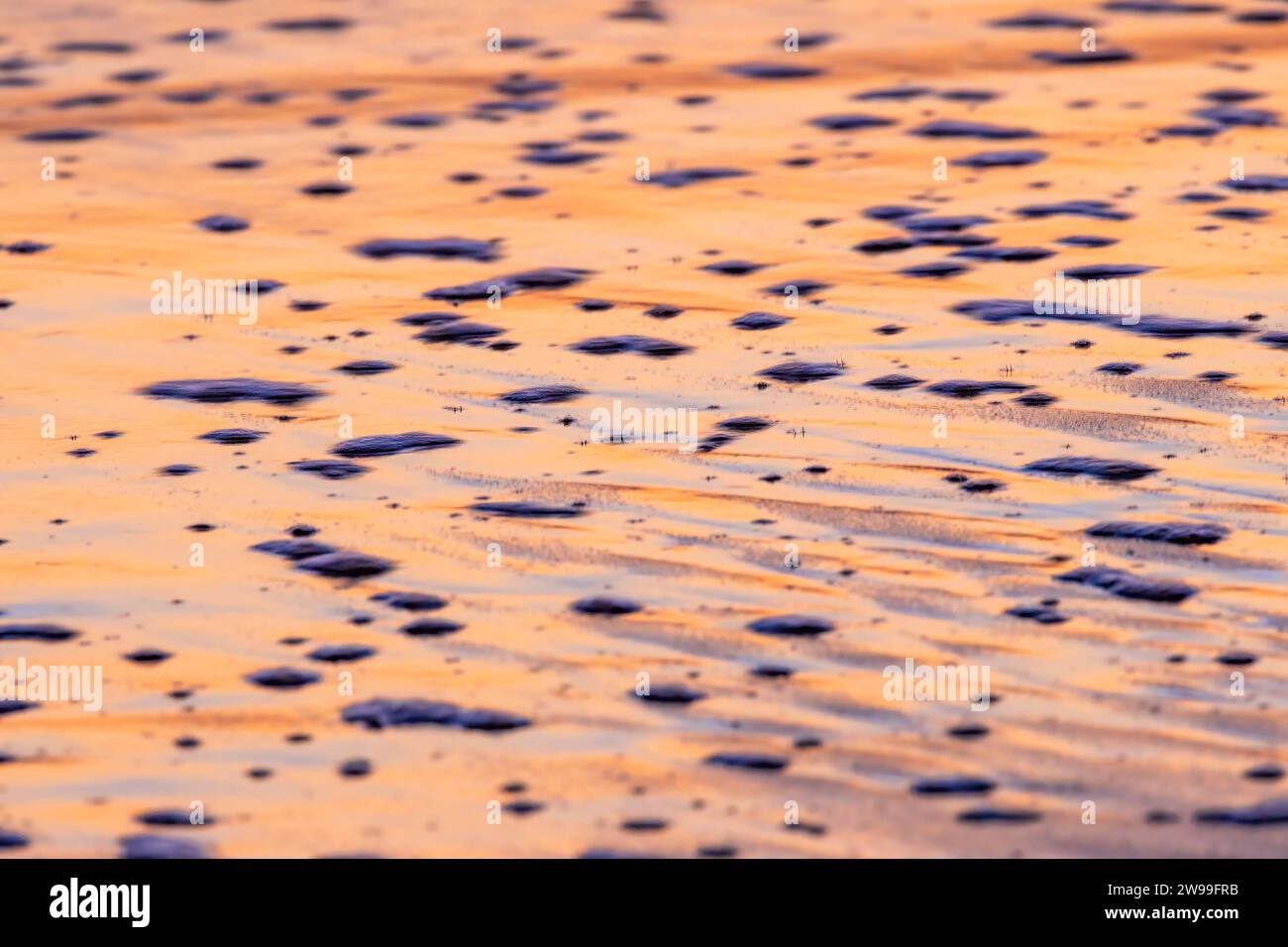 Shorelineview hi-res stock photography and images - Alamy