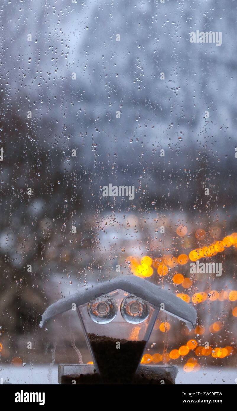 A birdfeeder on a window during a wintry mix day in Tromso at the ...
