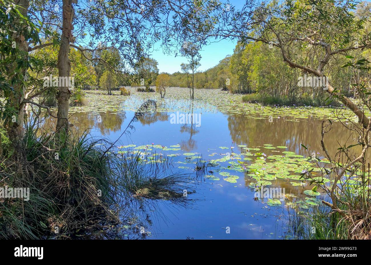 Urunga australia hi-res stock photography and images - Alamy