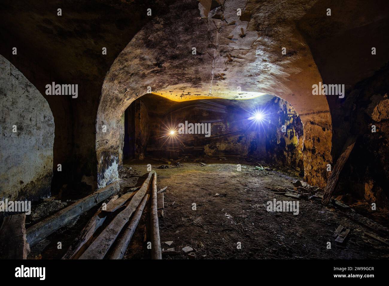 Abandoned empty old dark underground vaulted cellar Stock Photo - Alamy