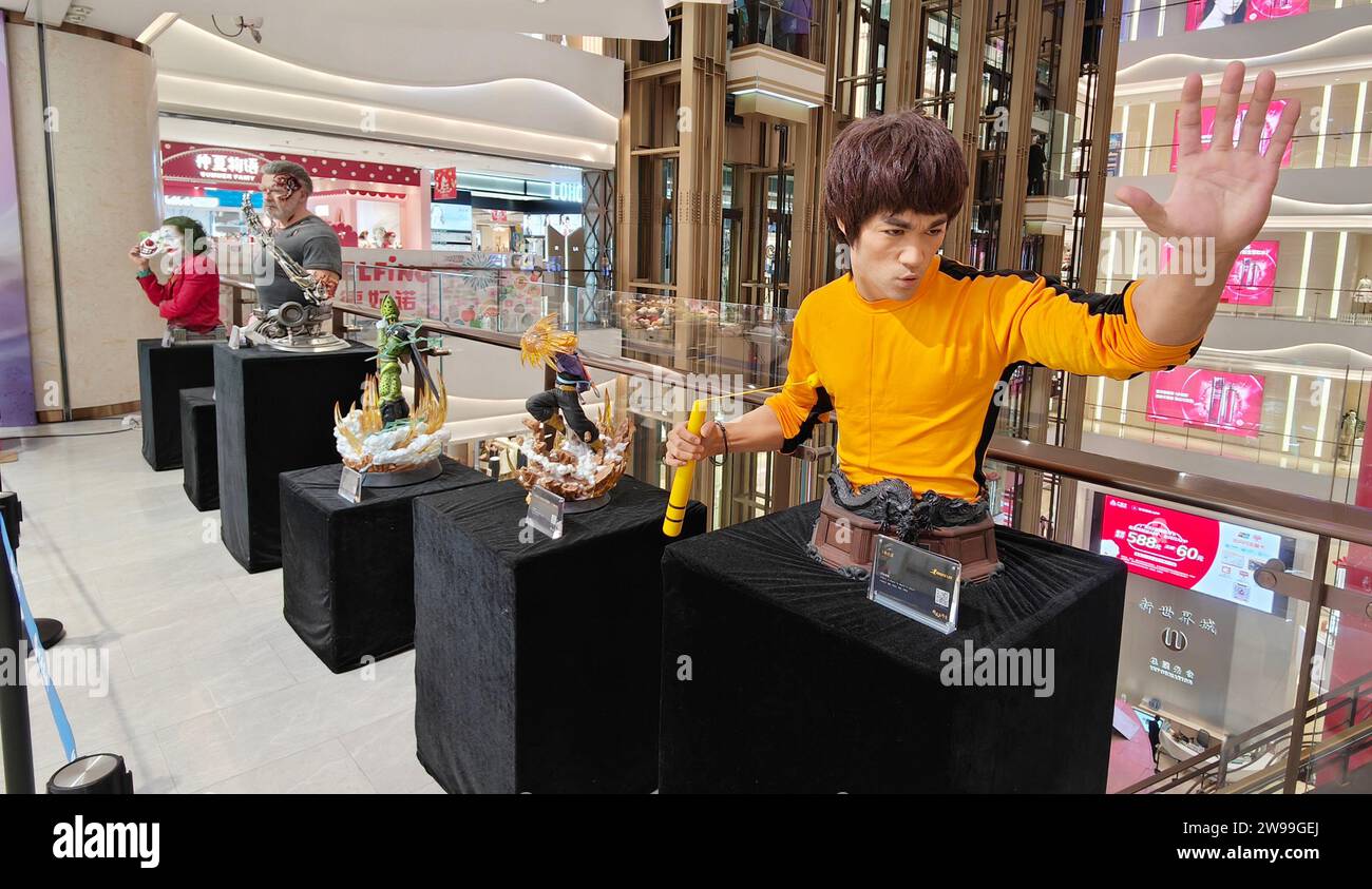 SHANGHAI, CHINA - DECEMBER 21, 2023 - Infinity Studio's IP collection ...