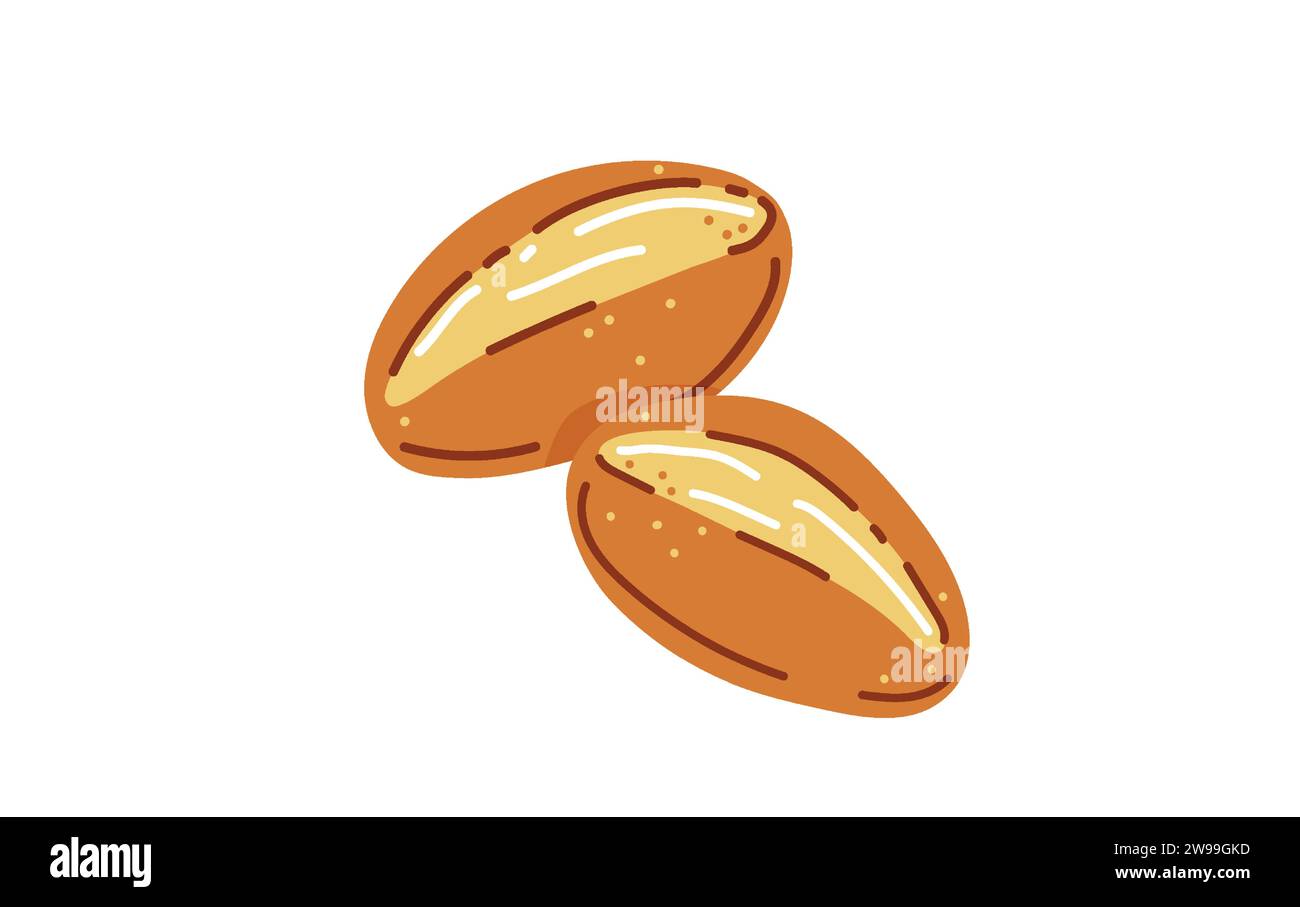 Bread rolls for brunch in germany or sunday buns.Vector illustration ...