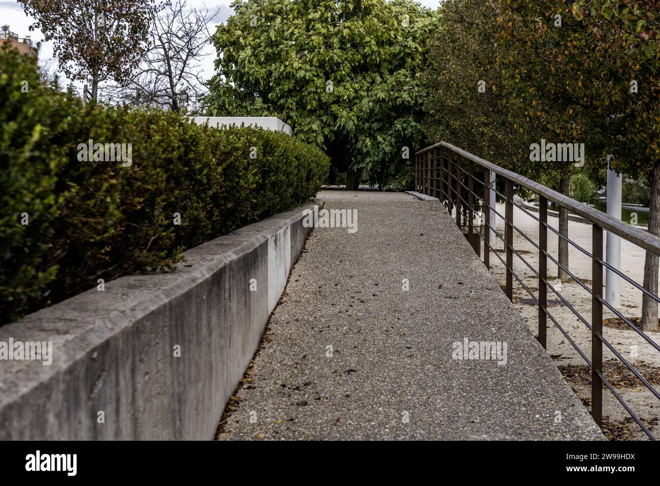 Cement ramp with metal bar inside an urban park with many trees Stock ...