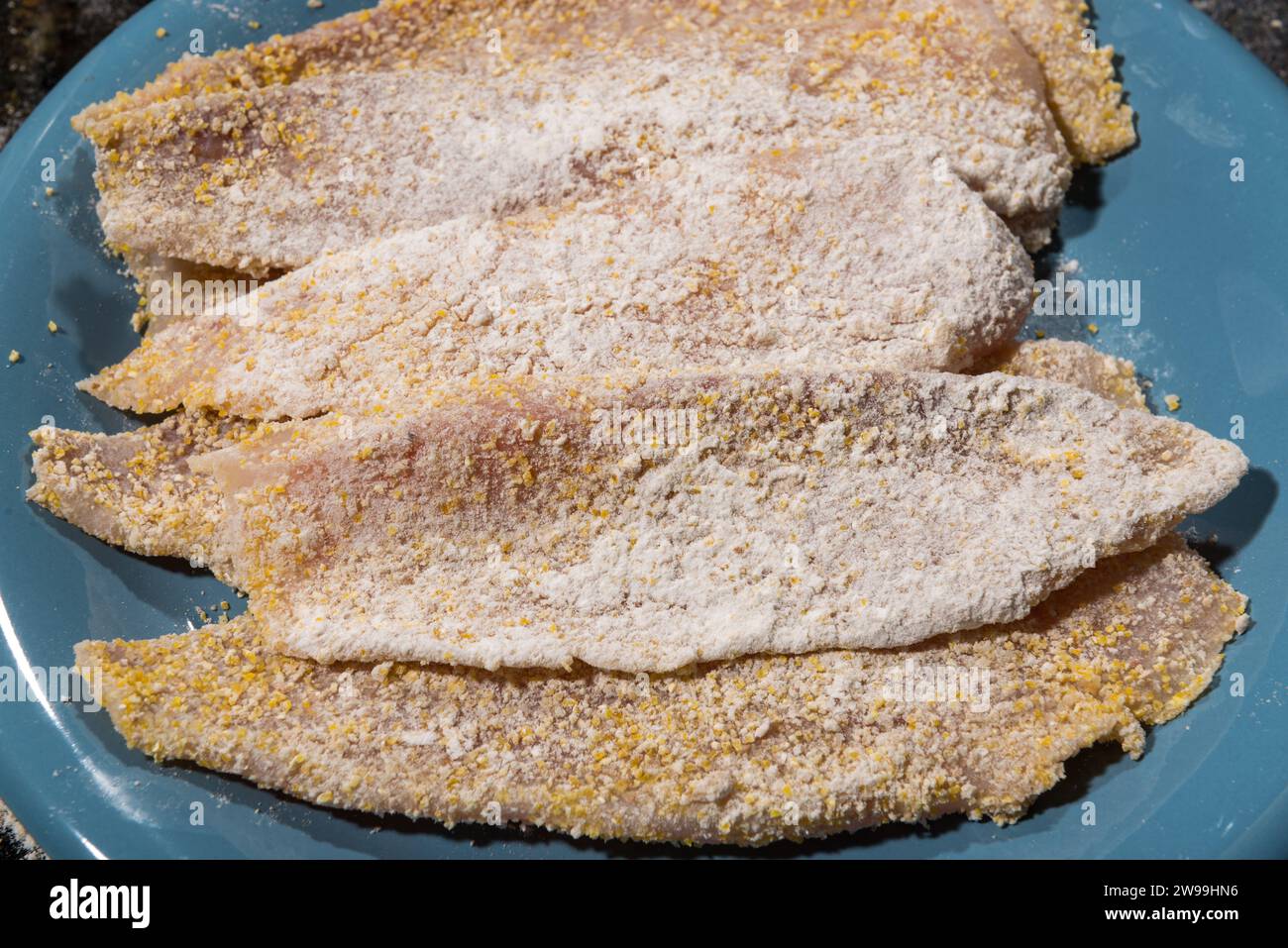Macro of fish fillet encrusted with a mix of wheat and corn flour mix ...