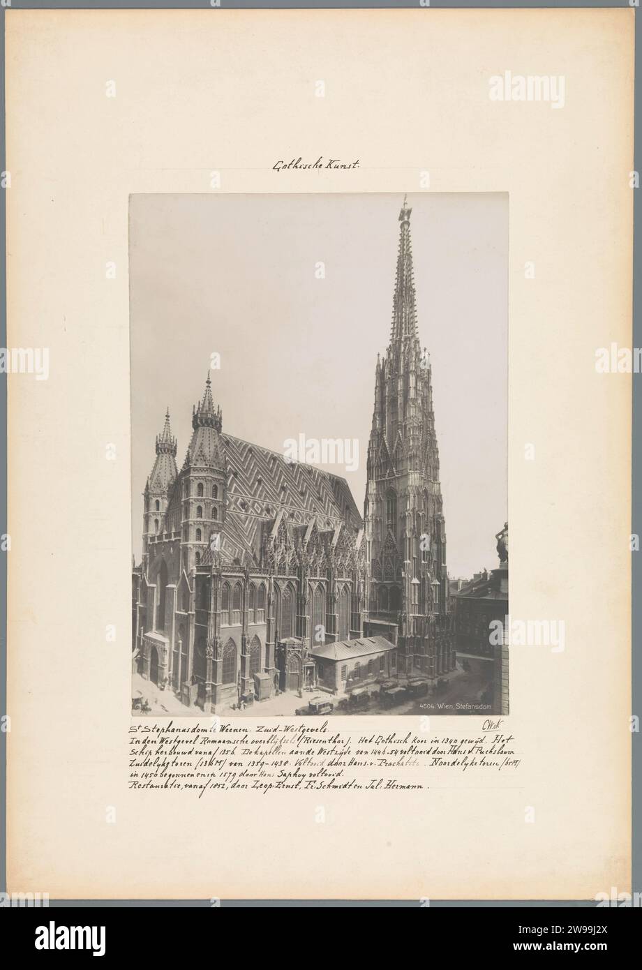 View of Stephansdom in Vienna, 1907 photograph Vienna cardboard ...
