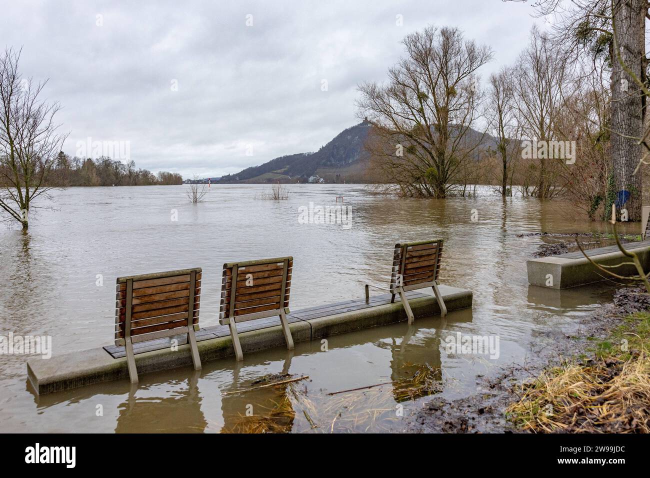 Rhein Hochwasser am 1. Weihnachtsfeiertag an der Insel Grafenwerth bei ...