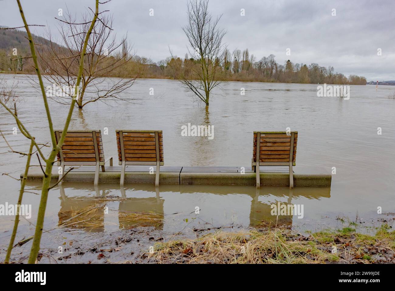 Insel grafenwerth insel grafenwerth hi-res stock photography and images ...