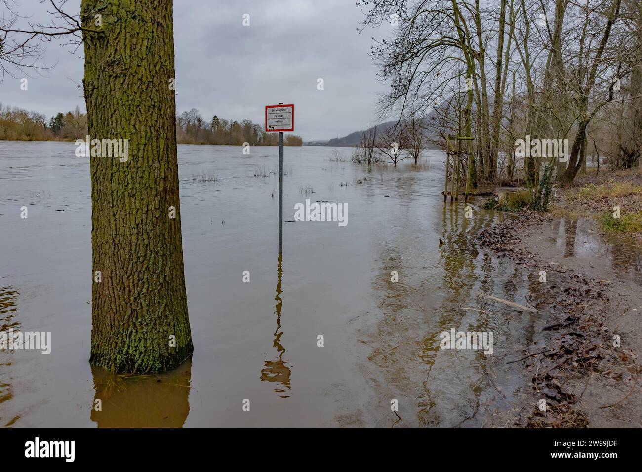 Rhein Hochwasser am 1. Weihnachtsfeiertag an der Insel Grafenwerth bei ...