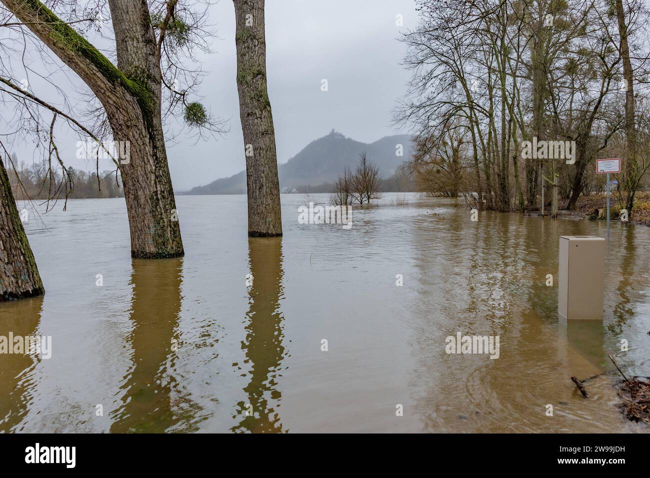 Rhein Hochwasser am 1. Weihnachtsfeiertag an der Insel Grafenwerth bei ...