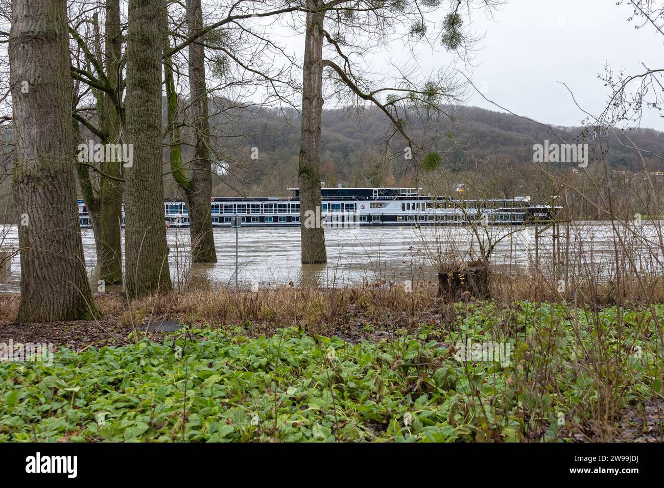 Rhein Hochwasser am 1. Weihnachtsfeiertag an der Insel Grafenwerth bei ...