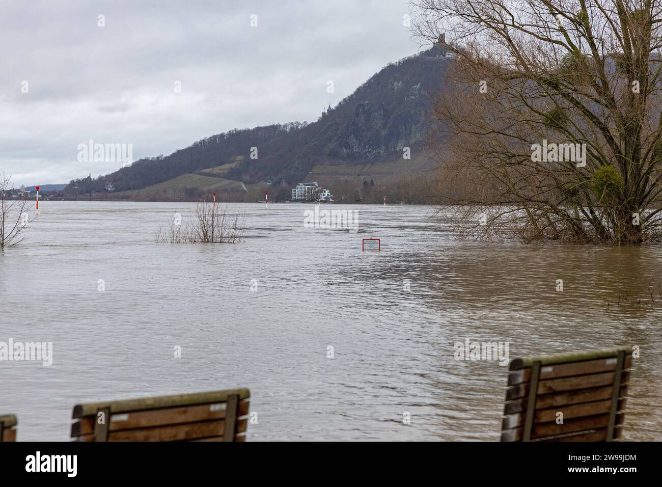 Rhein Hochwasser am 1. Weihnachtsfeiertag an der Insel Grafenwerth bei ...