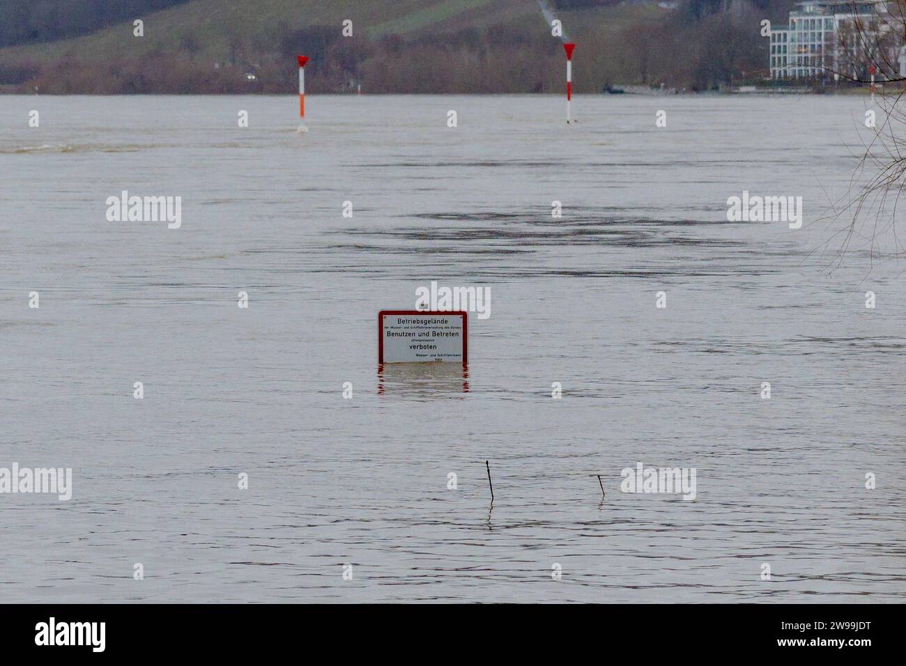 Rhein Hochwasser am 1. Weihnachtsfeiertag an der Insel Grafenwerth bei ...