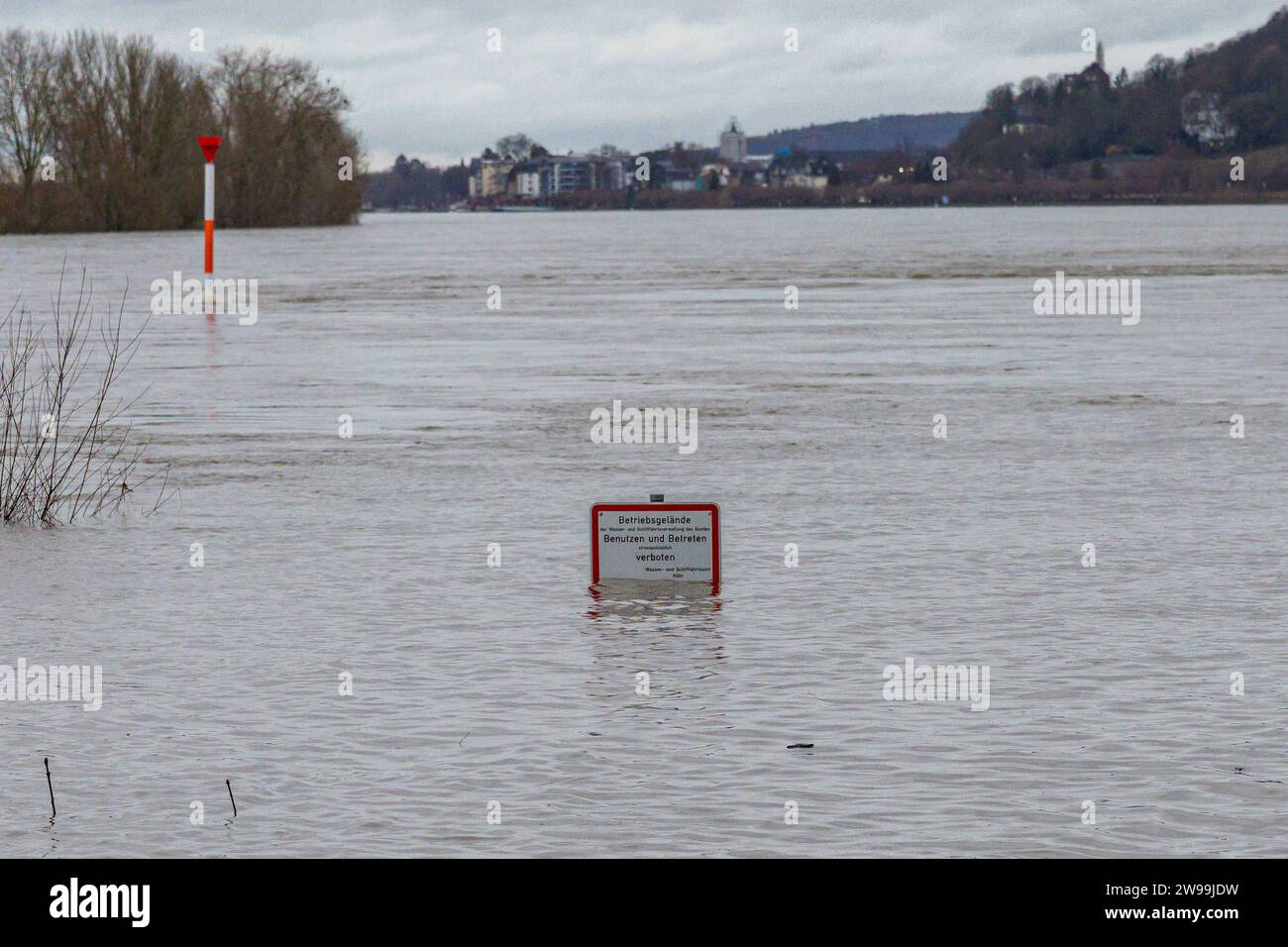 Rhein Hochwasser am 1. Weihnachtsfeiertag an der Insel Grafenwerth bei ...