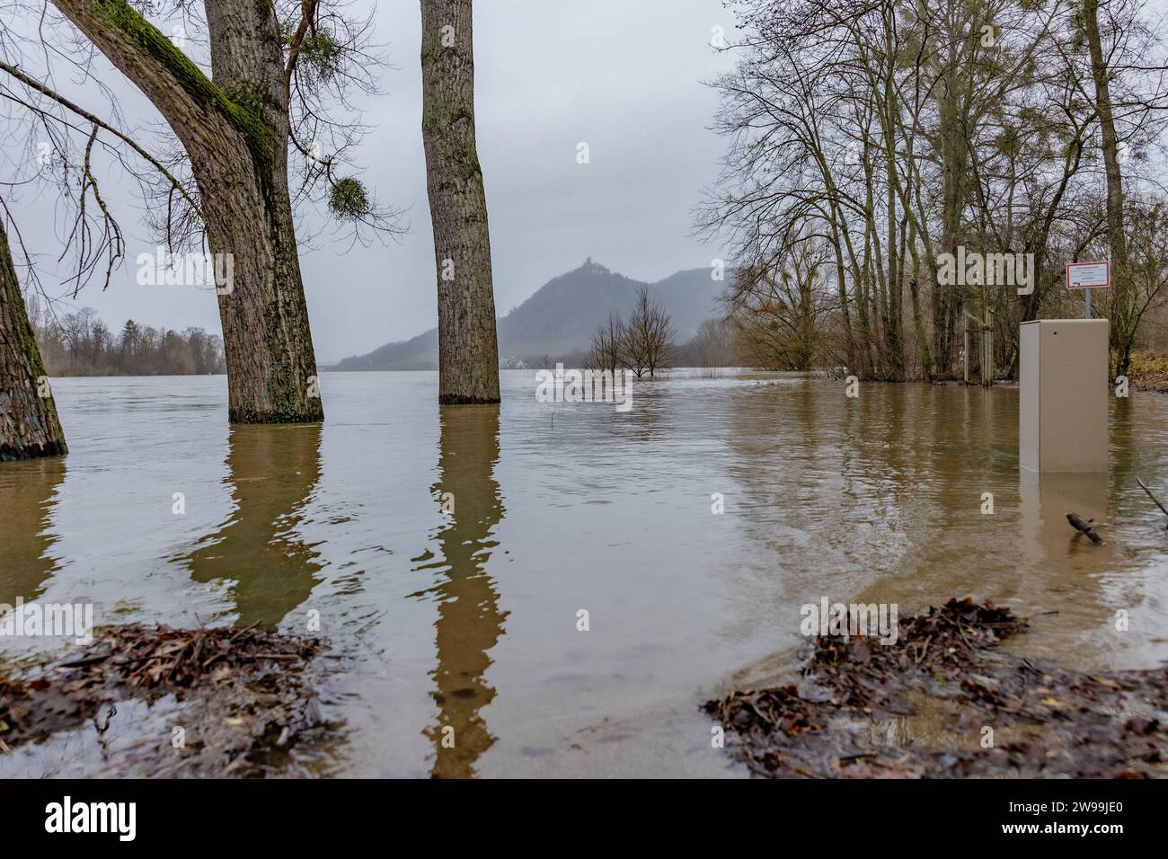 Rhein Hochwasser am 1. Weihnachtsfeiertag an der Insel Grafenwerth bei ...