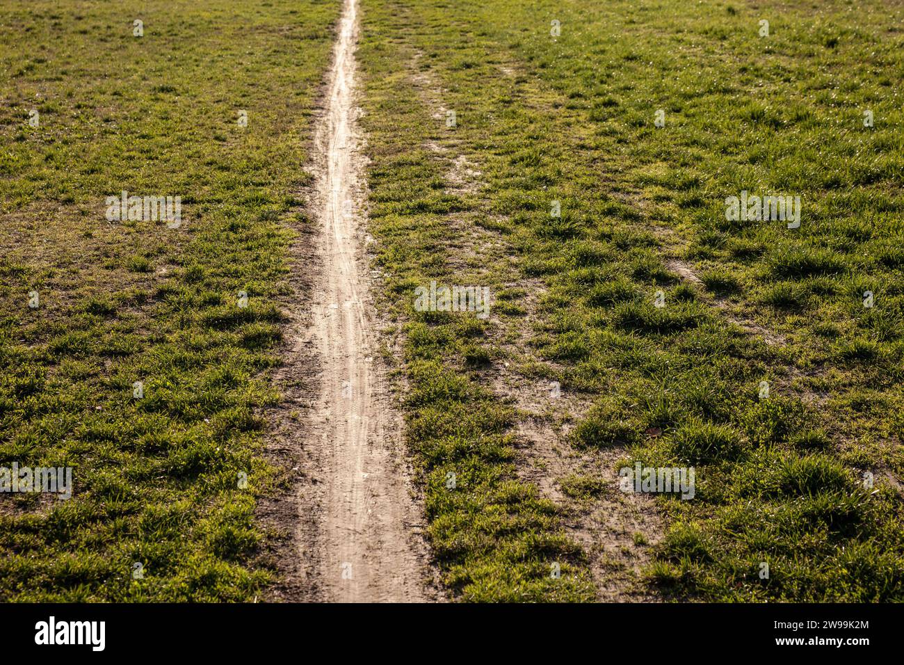 Picture of a path of least resistance in the grass, a muddy path Stock ...