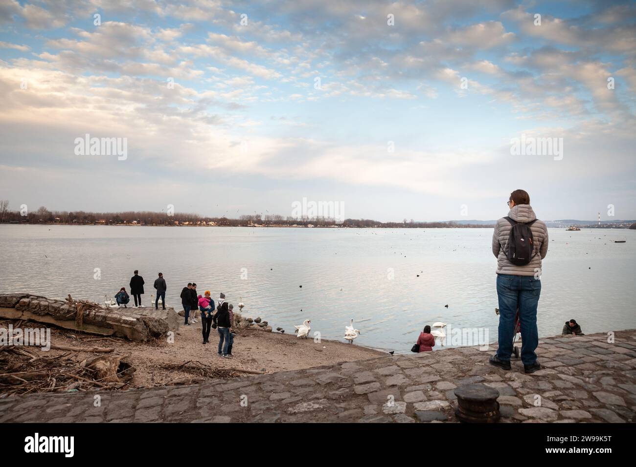 Picture of Zemun Quay, also known as Zemunski kej, in Belgrade, capital ...