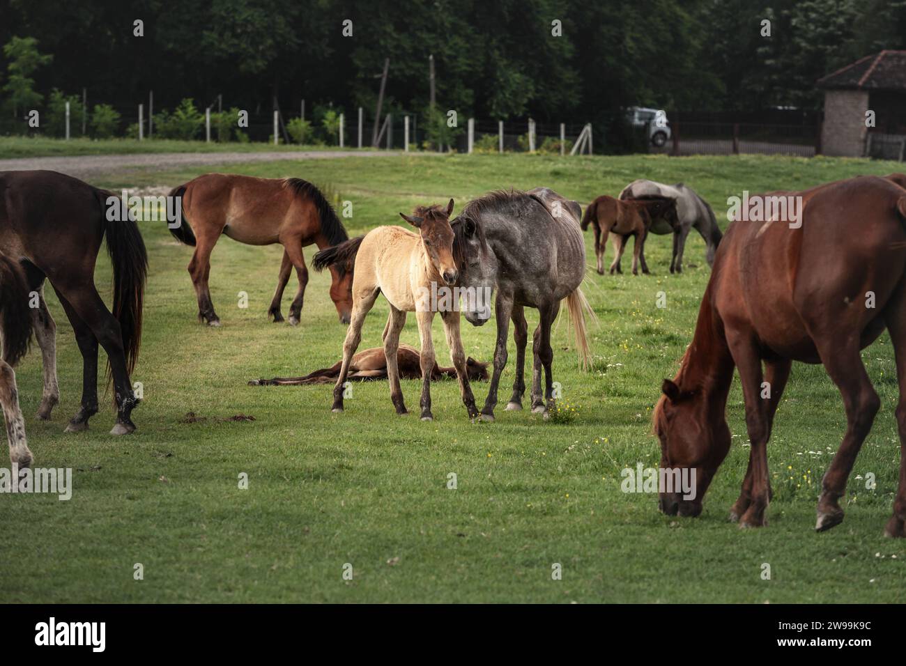 Intimate picture hi-res stock photography and images - Alamy